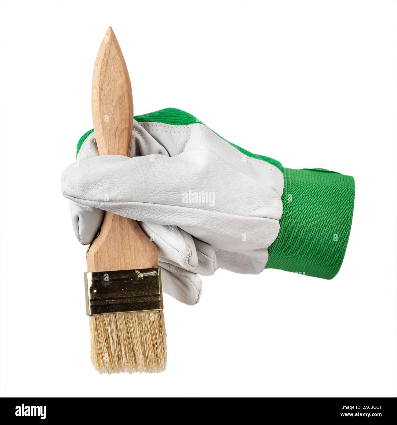 a paint brush in the hand of a worker, in a work glove. isolated on a ...