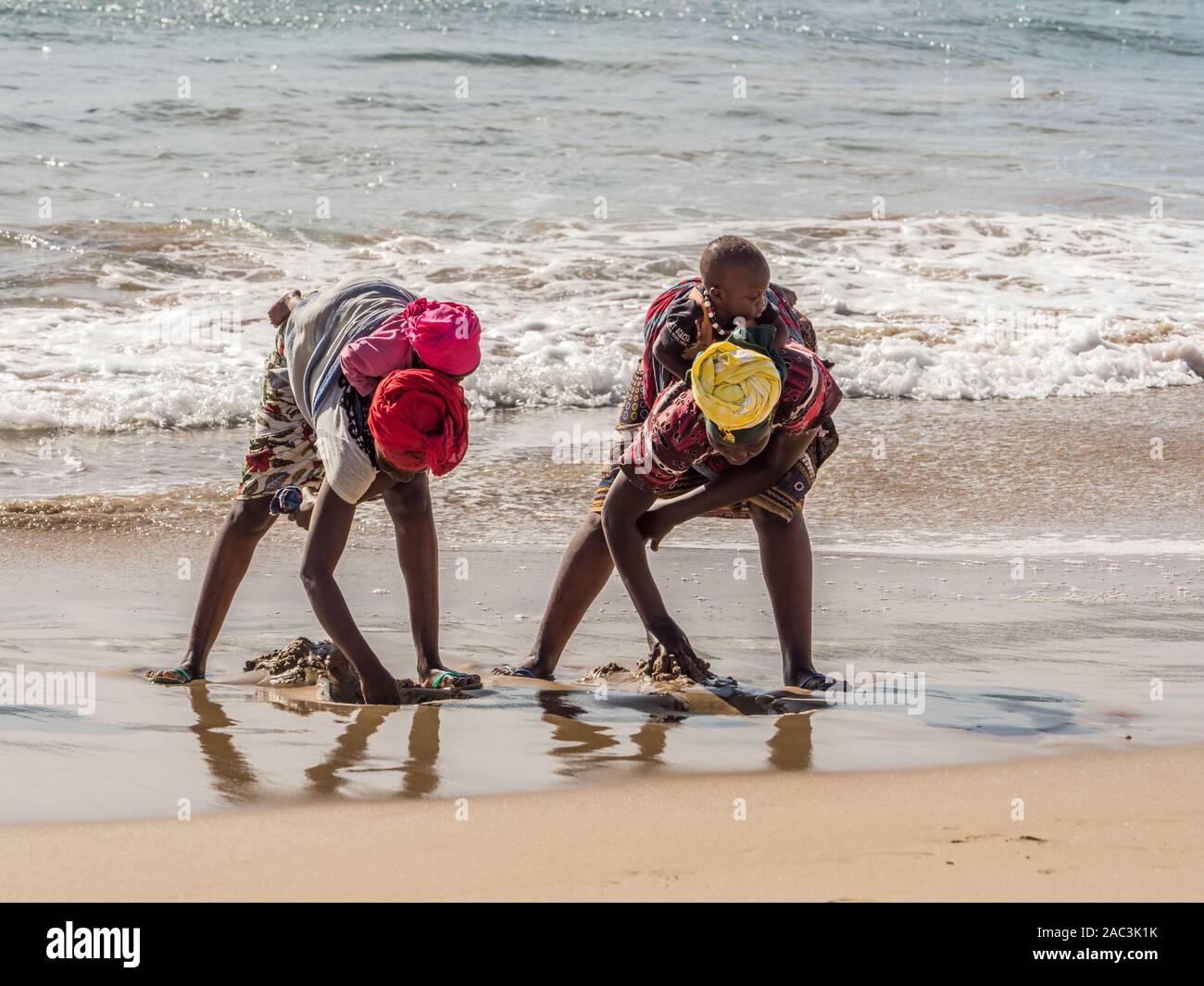 Woman collecting shells hi-res stock photography and images - Alamy