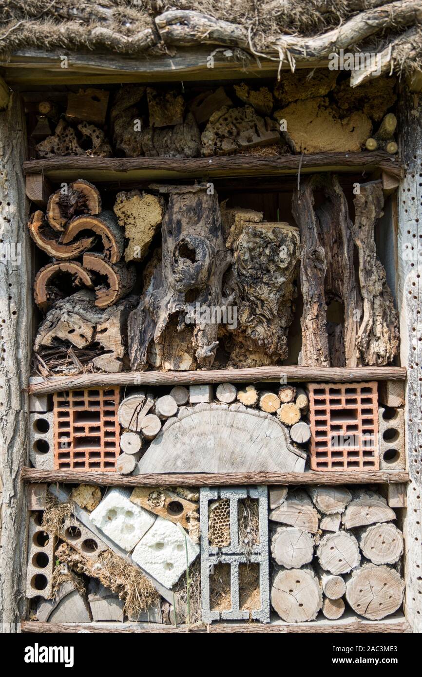 Shelter for insects hi-res stock photography and images - Alamy