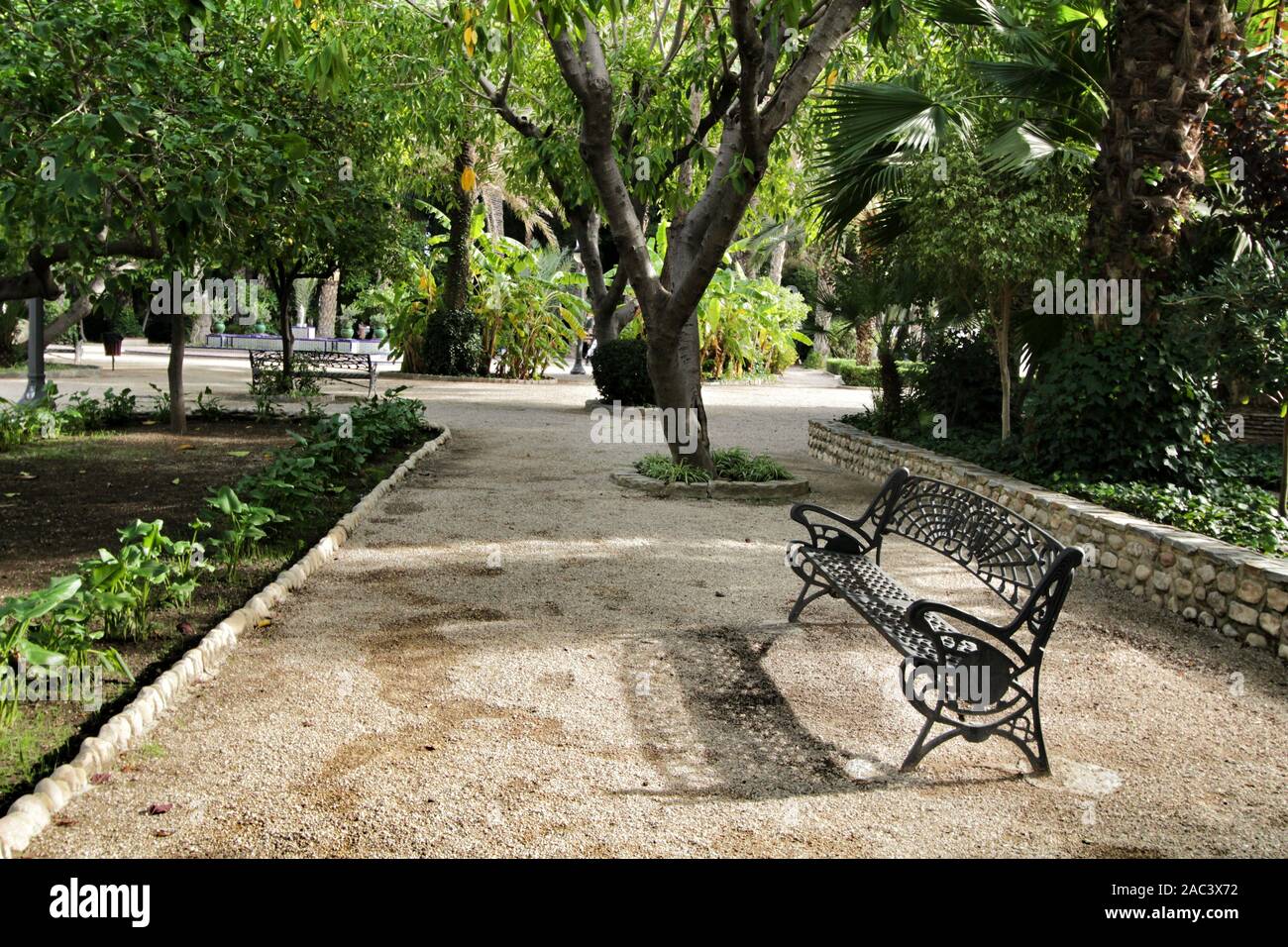 Beautiful and leafy municipal park in Elche between palm trees. Elche ...