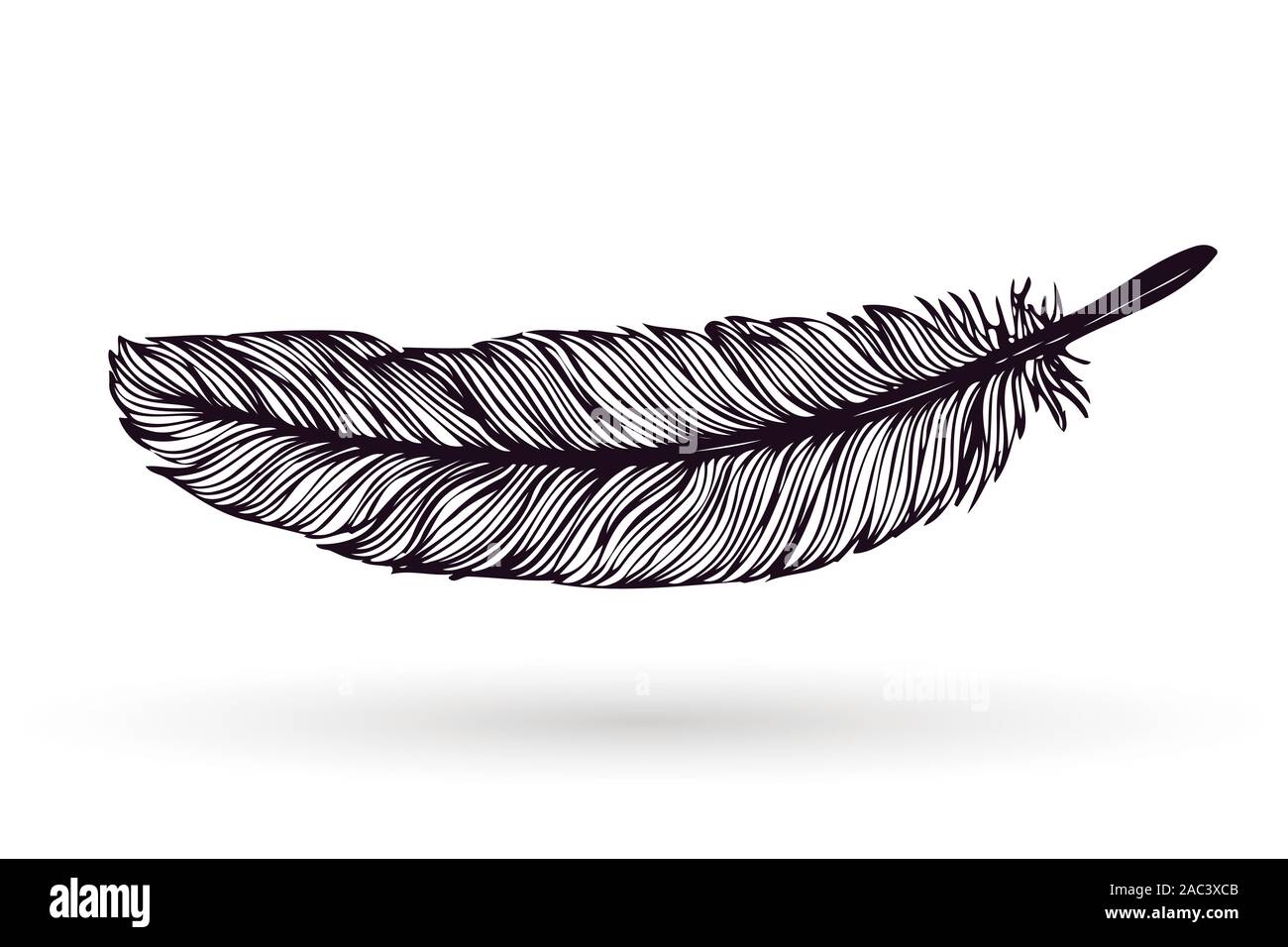Tribal Feather Drawing