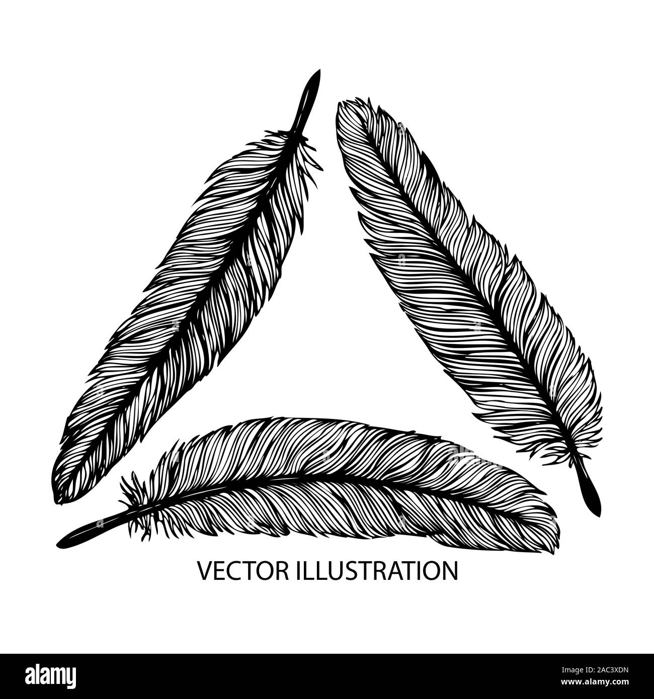 Hand drawn logo with feather isolated on white background. Feathers set ...