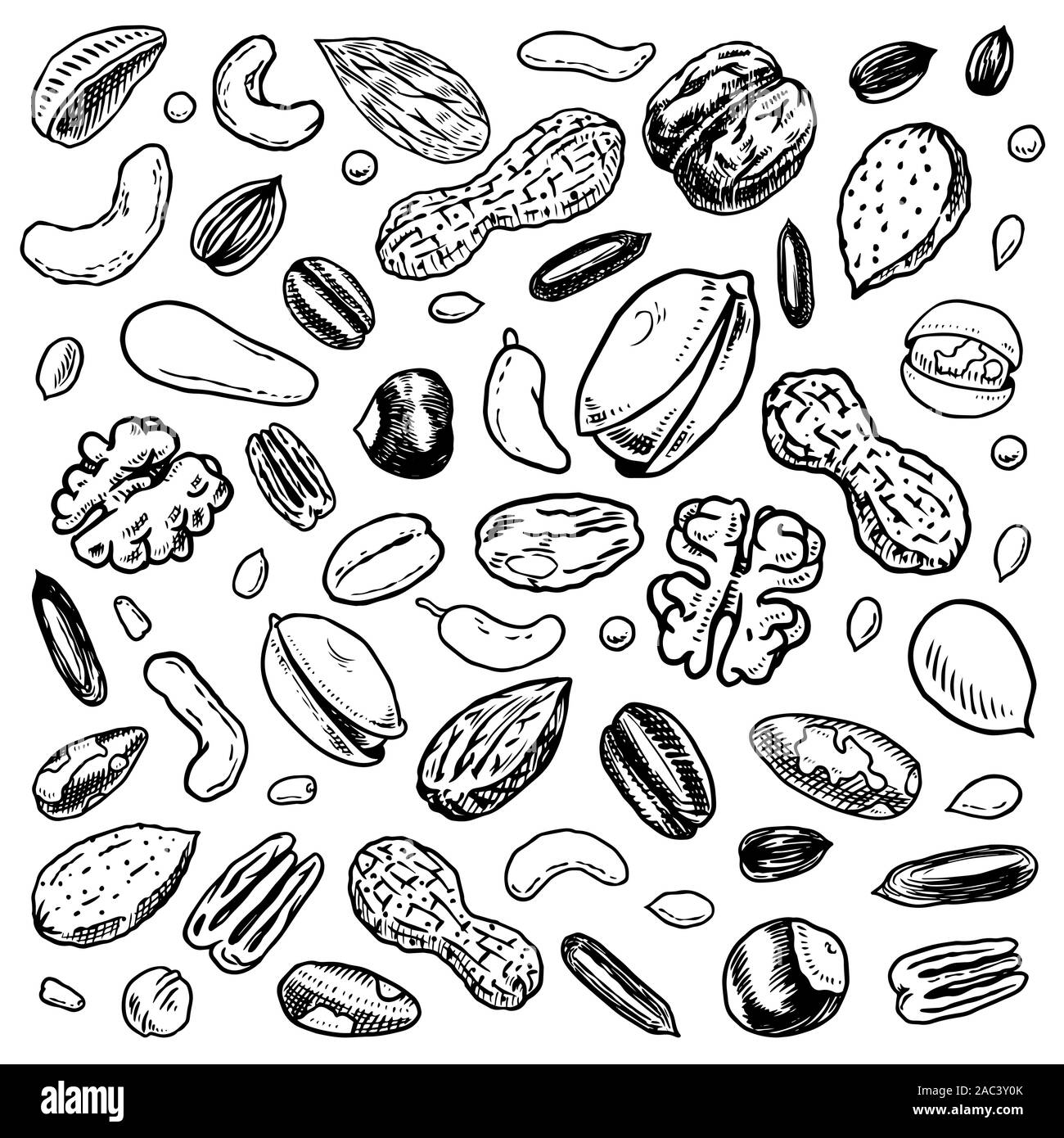 Top view peanut isolated Black and White Stock Photos & Images - Alamy