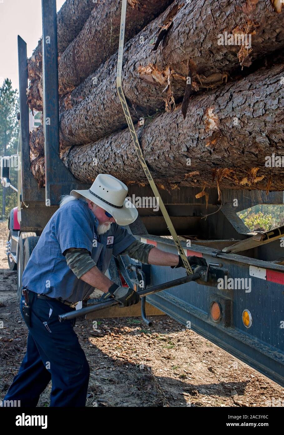 Truck driver hi-res stock photography and images - Alamy