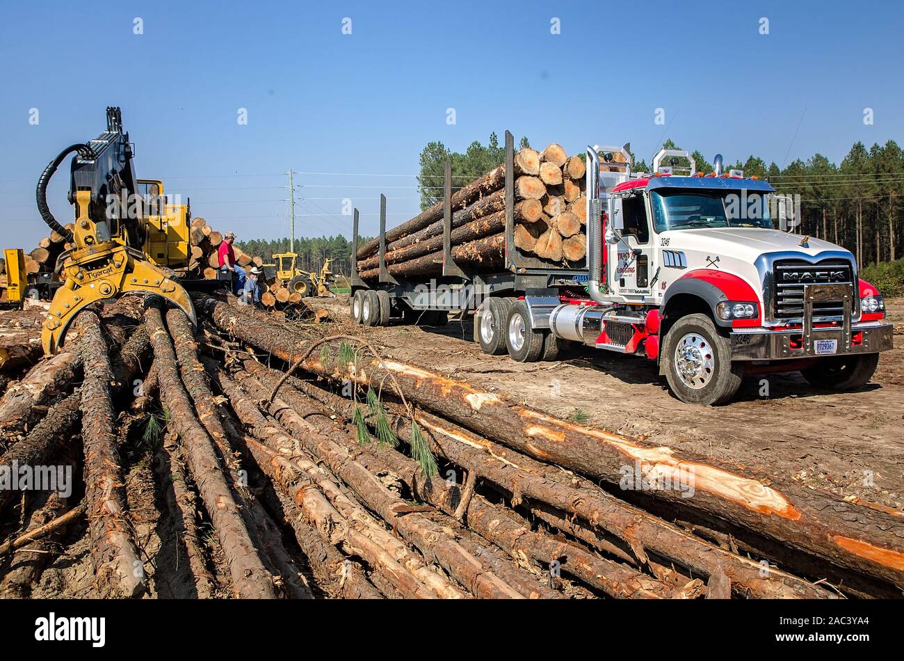 Logging trucks hi-res stock photography and images - Alamy