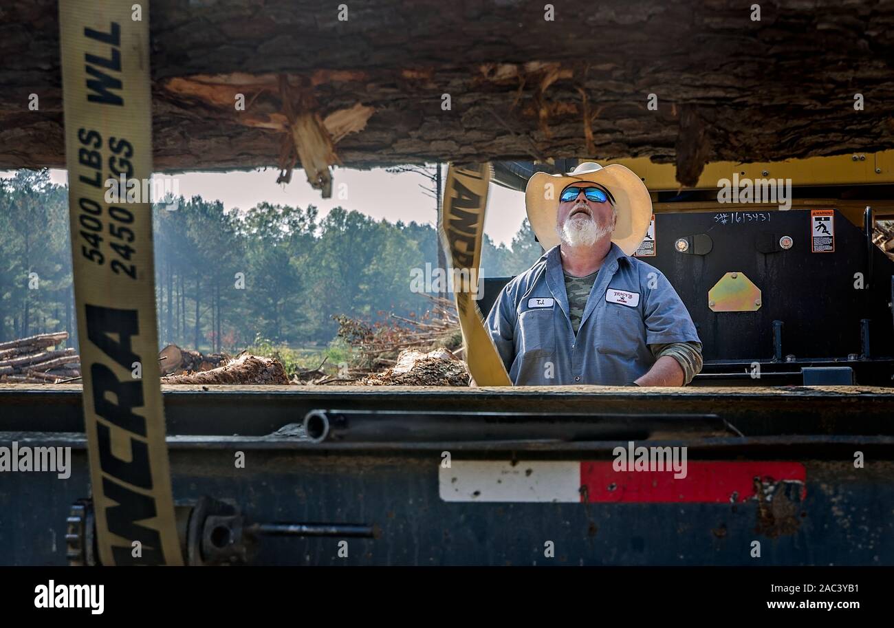 Logging industry hi-res stock photography and images - Alamy
