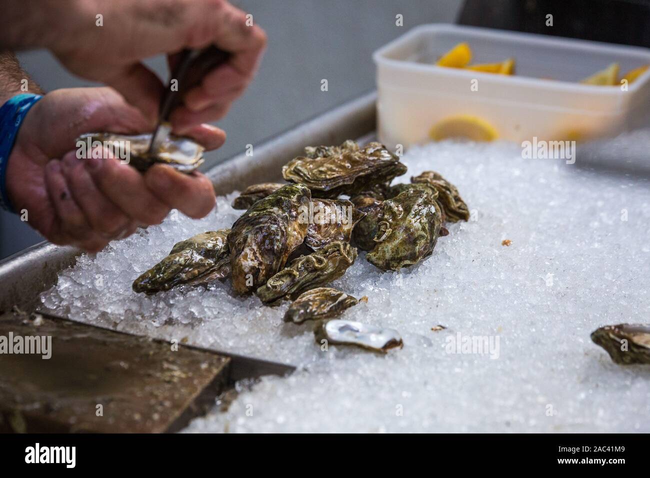 Preparing oysters for dinner in scottish restaurant Stock Photo - Alamy