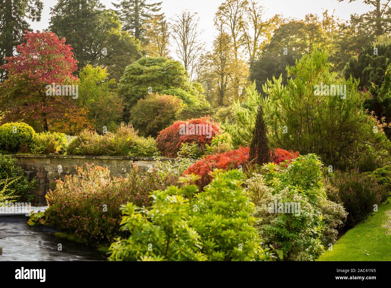 Beautiful autumn landscape in the park in Scotland, clear weather ...