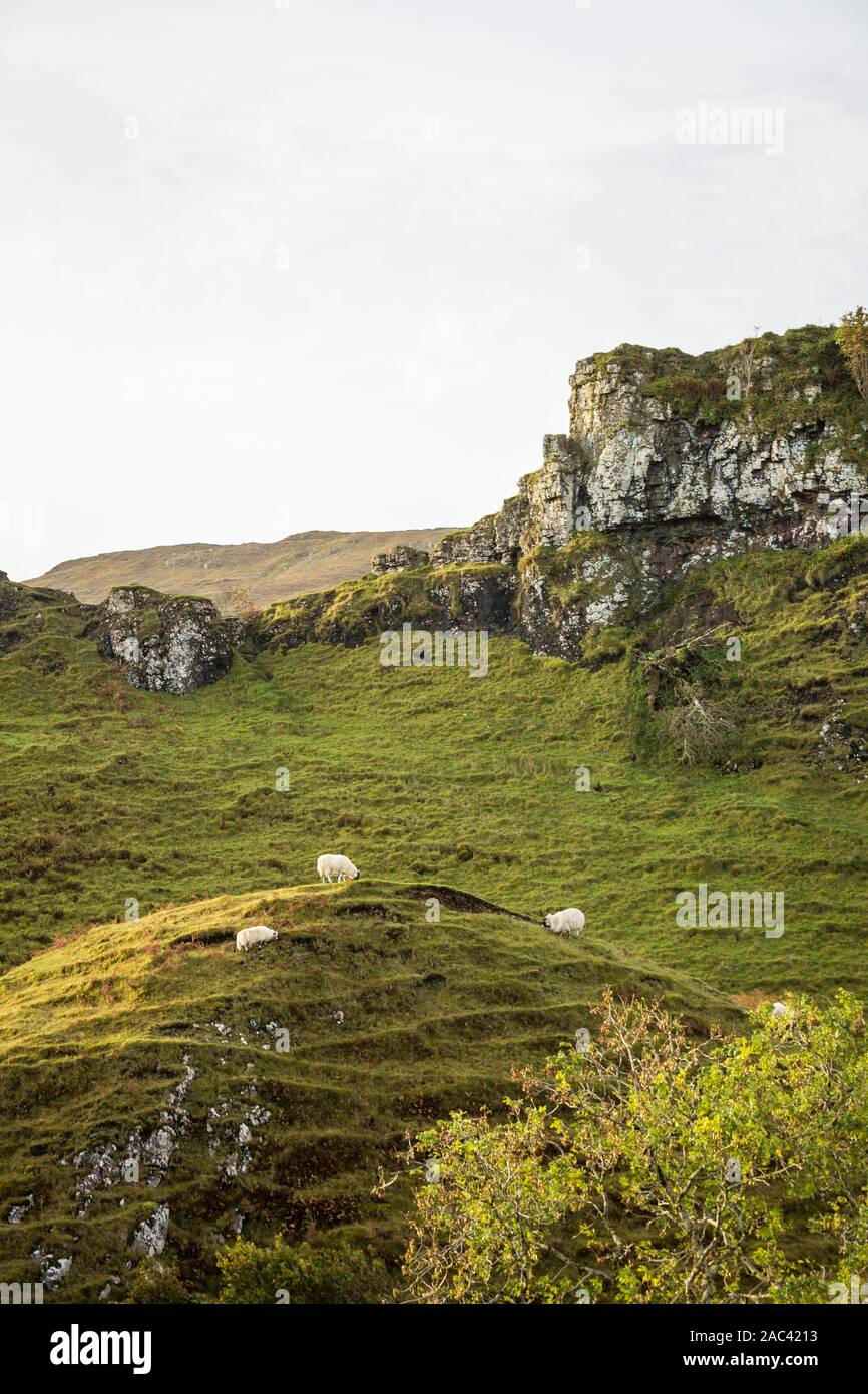 Beautiful autumn panoramic landscape in Scotland, wet weather outside ...
