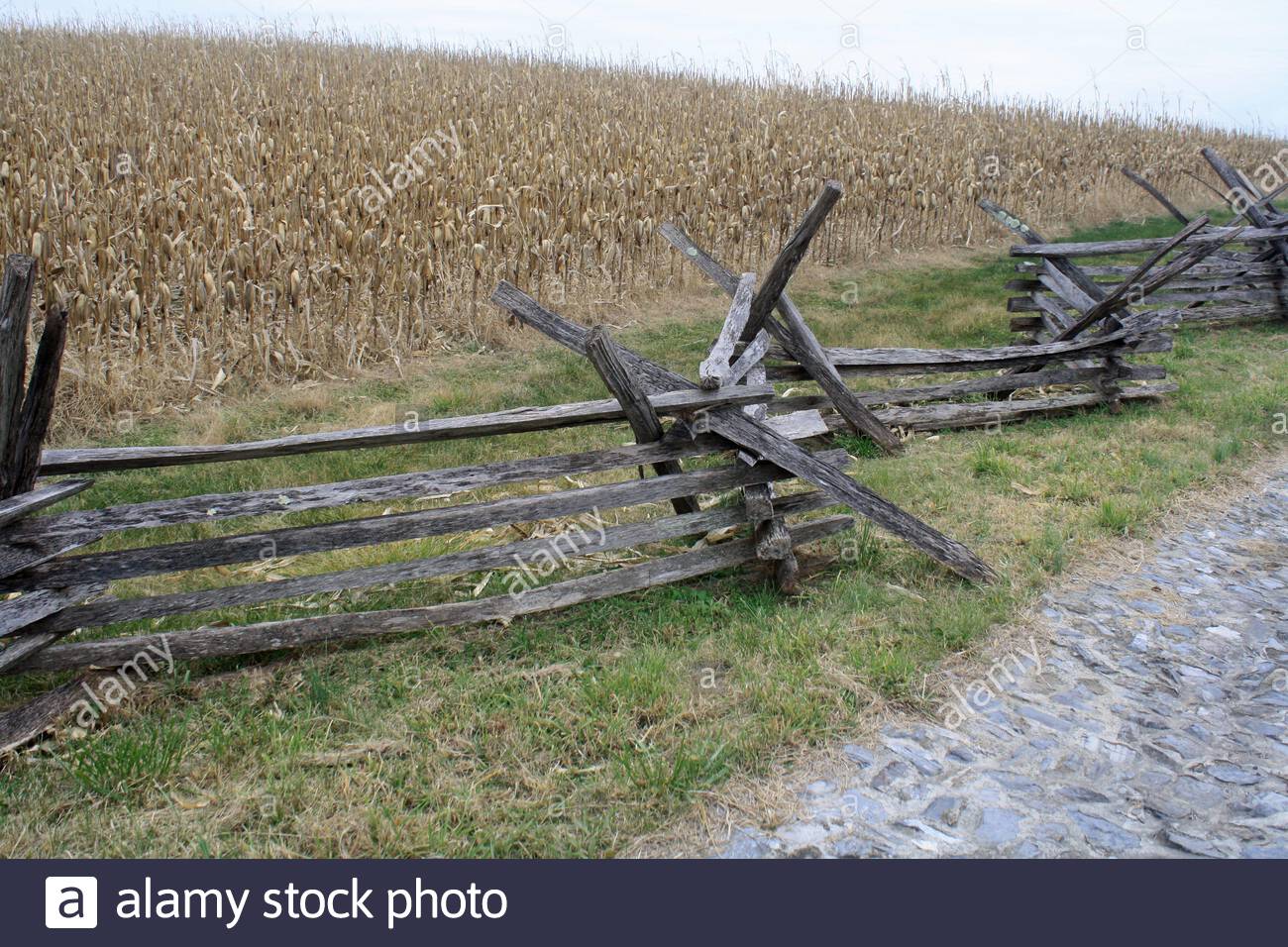 Antietam Cornfield High Resolution Stock Photography and Images - Alamy