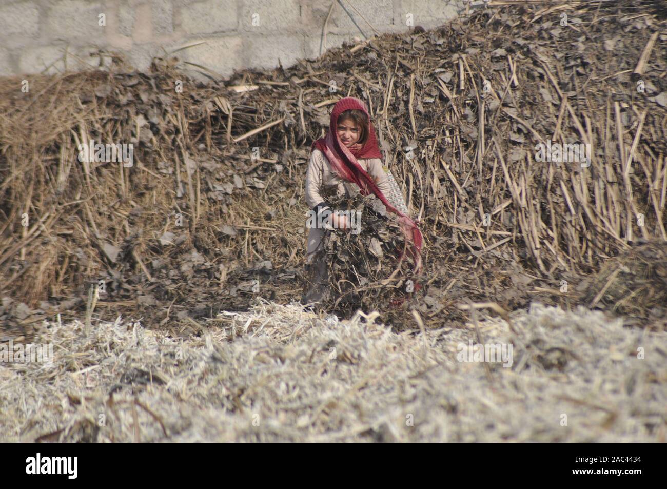 Peshawar, Pakistan. 30th Nov, 2019. View of making traditional sweet ...