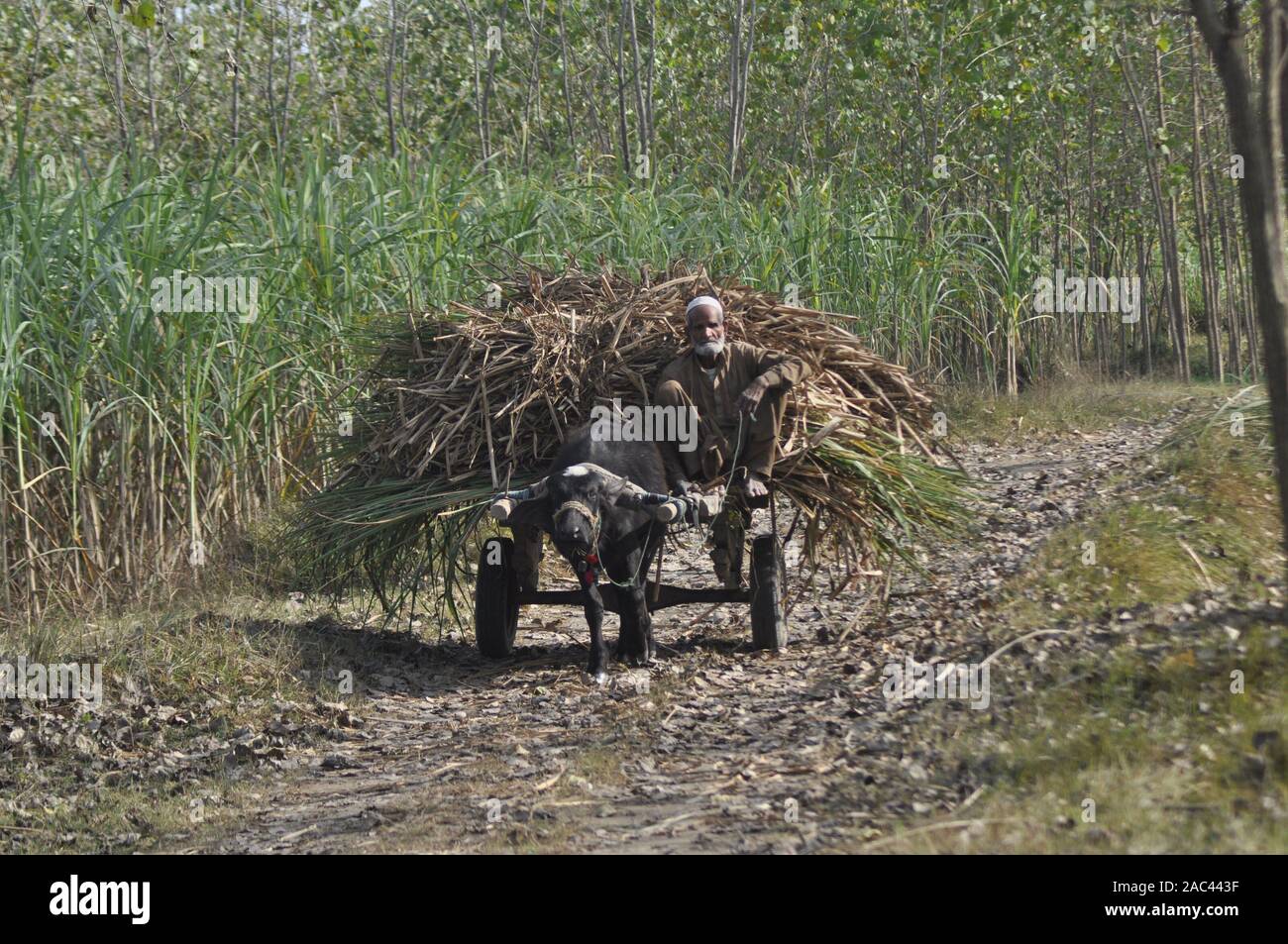 Charsadda road hi-res stock photography and images - Alamy