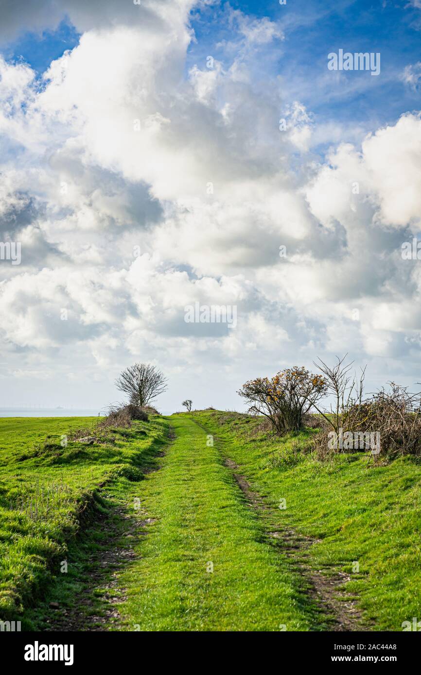 Track leading up hill to Telscombe Village Stock Photo - Alamy