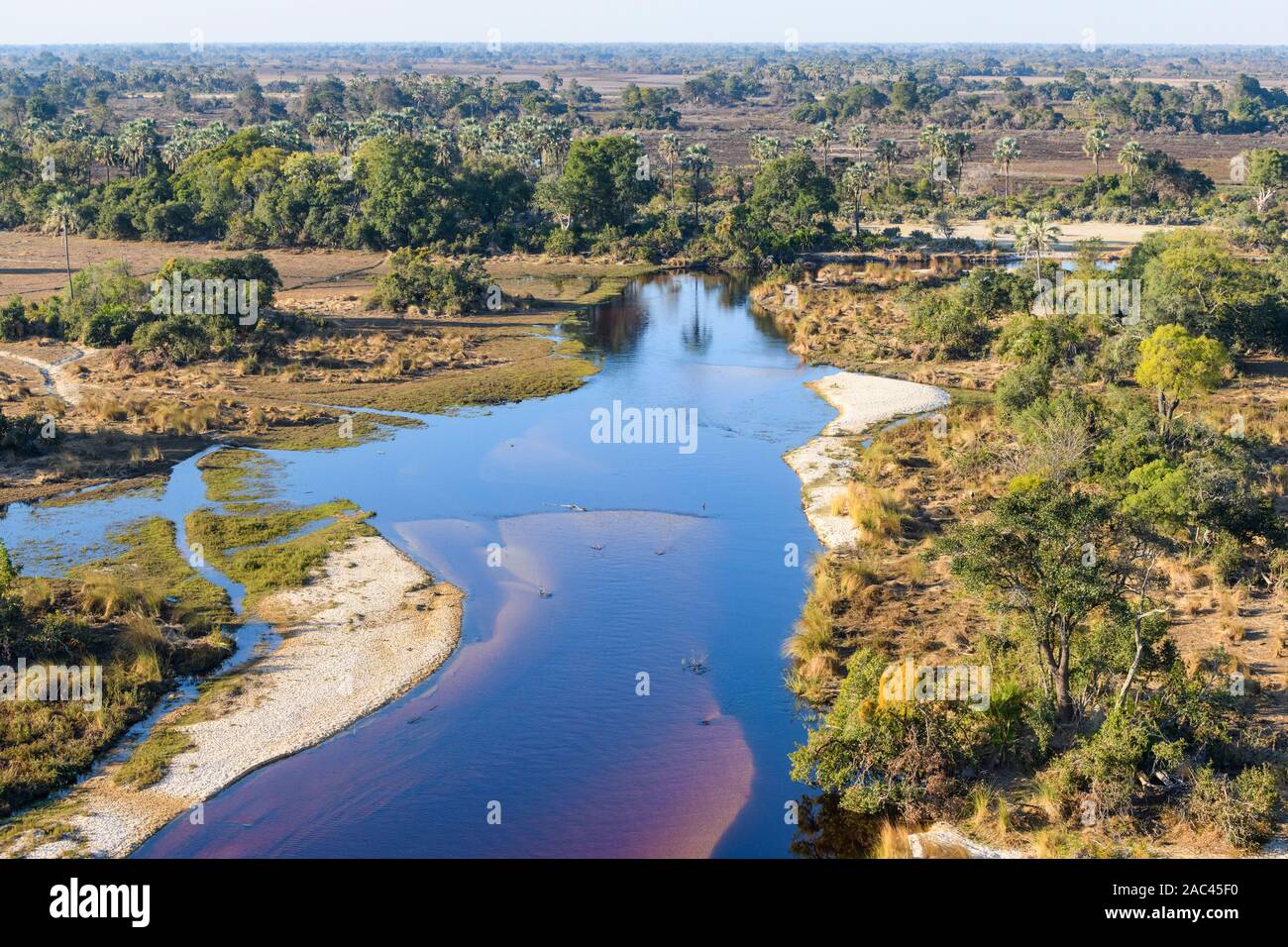 Aerial view of Boro River, Okavango Delta, Botswana Stock Photo - Alamy