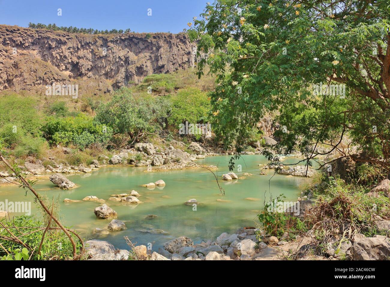 Wadi Dharbat lower Canyon River view Stock Photo - Alamy