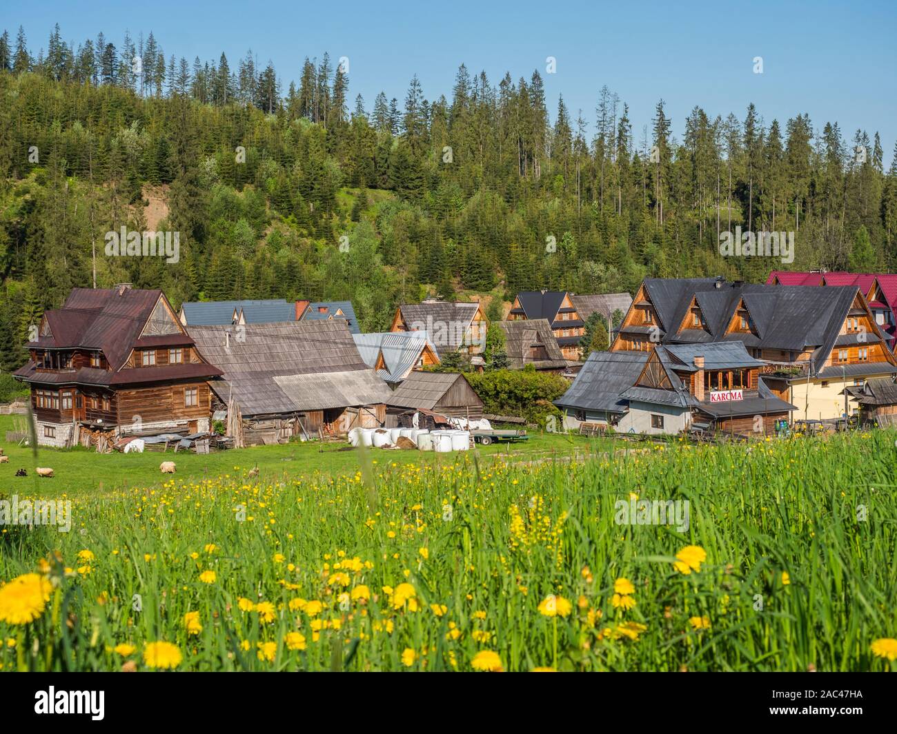 Tatra Mountains, Poland - June 4, 2019: Meadow in a small Polish ...