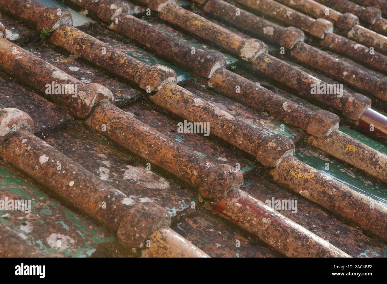 Old roof tiles from Sicily. Side view Stock Photo - Alamy