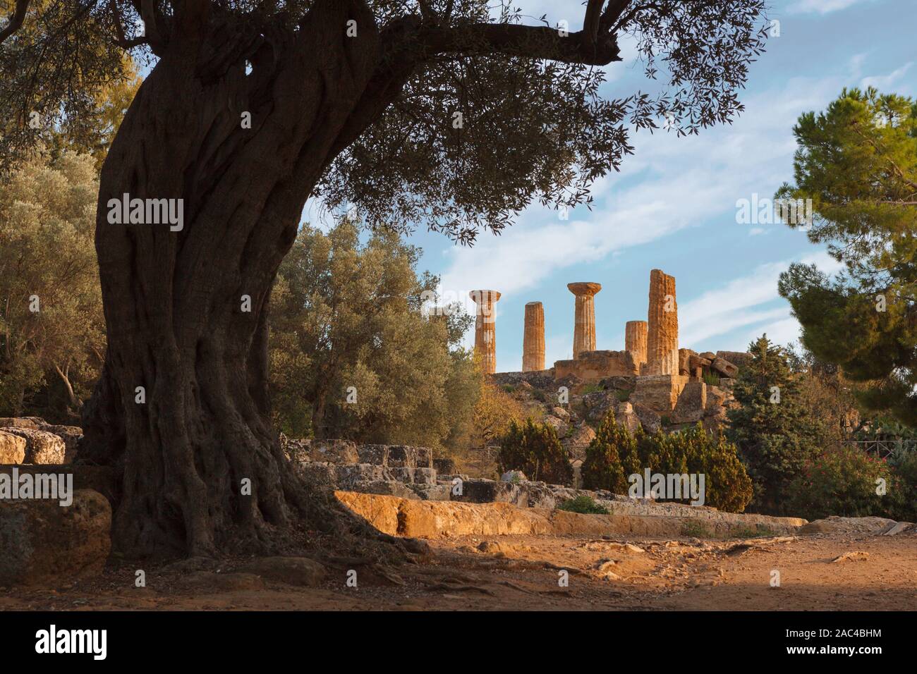Temple of Heracles (Hercules) in valley of the Temples (Valle dei ...