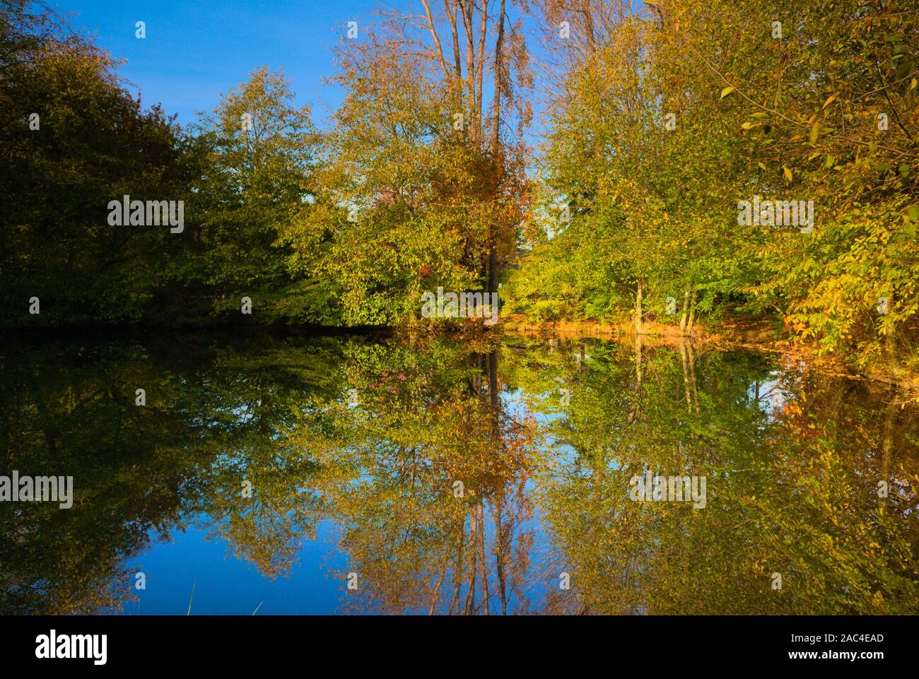 Alderwood Park in Surrey, British Columbia, Canada Stock Photo - Alamy