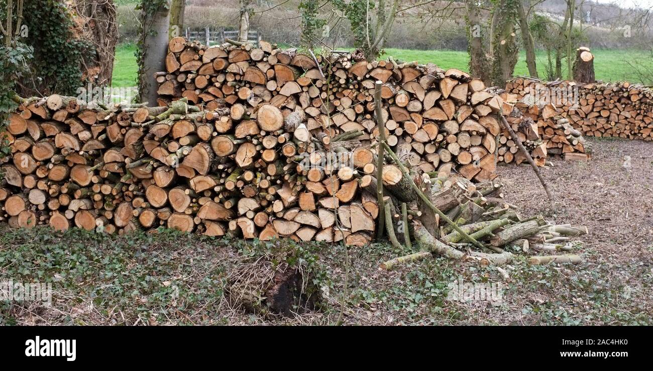 Wood fuel ready for distribution hi-res stock photography and images ...