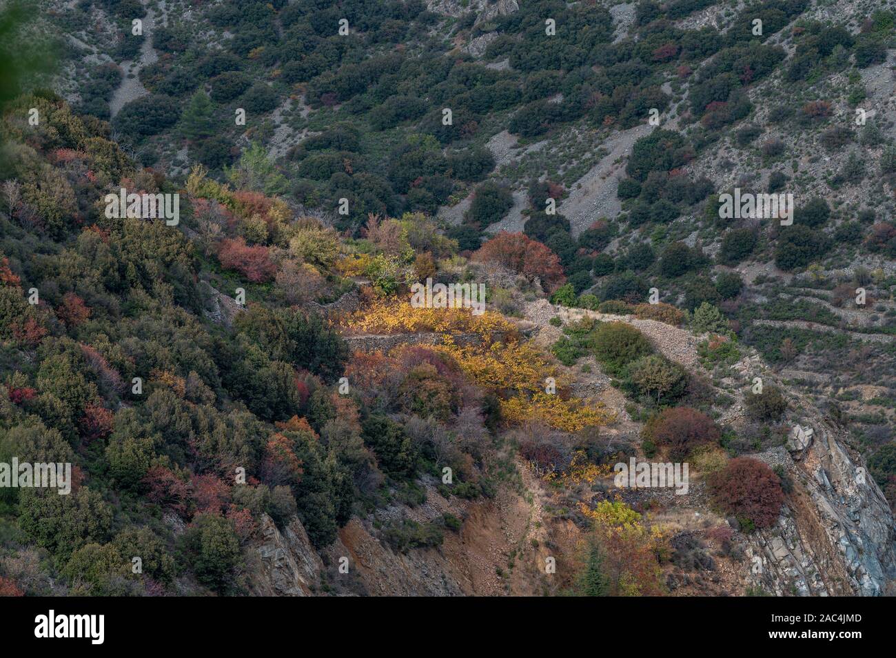 Agros hi-res stock photography and images - Alamy