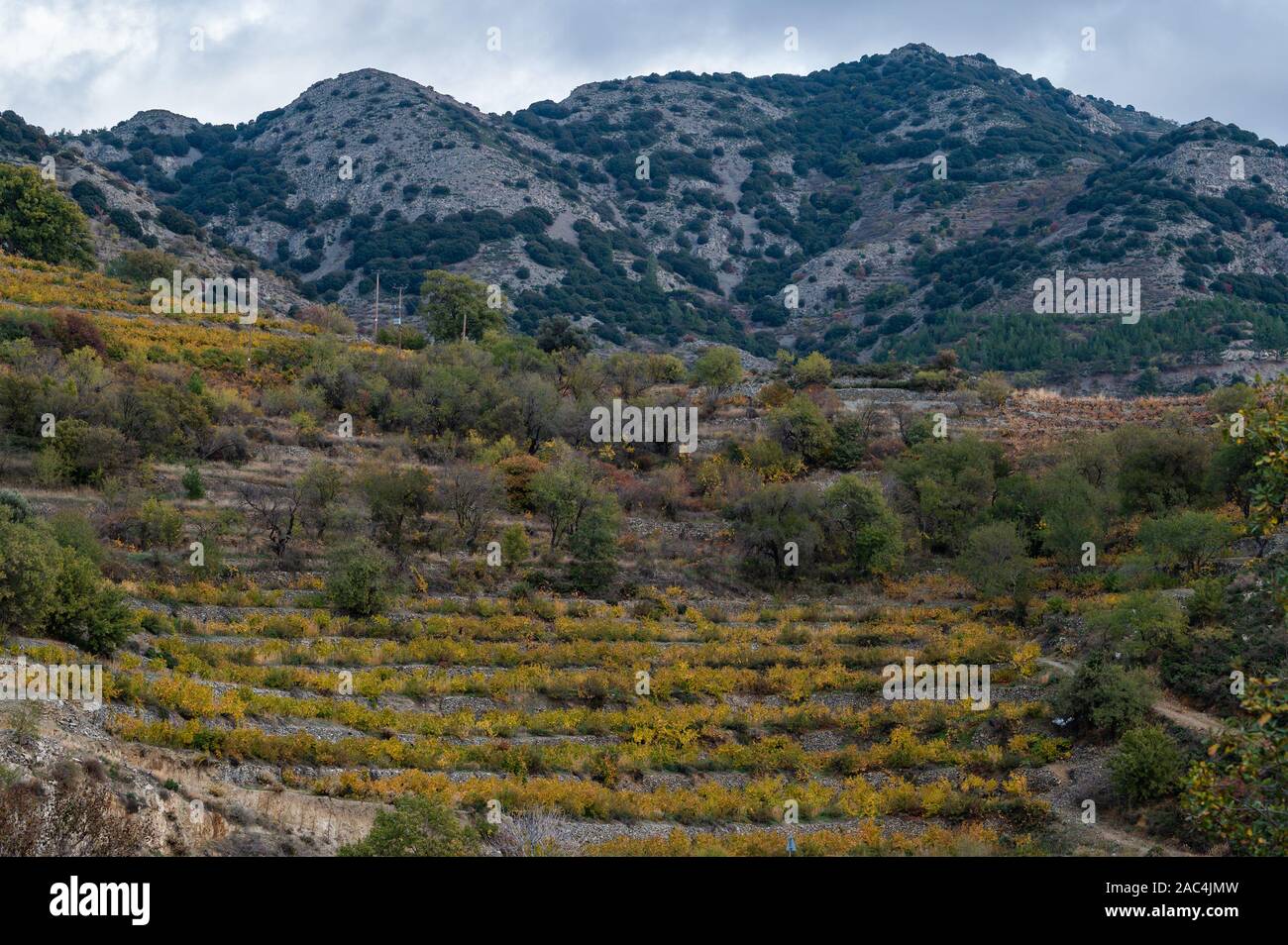 Agros hi-res stock photography and images - Alamy