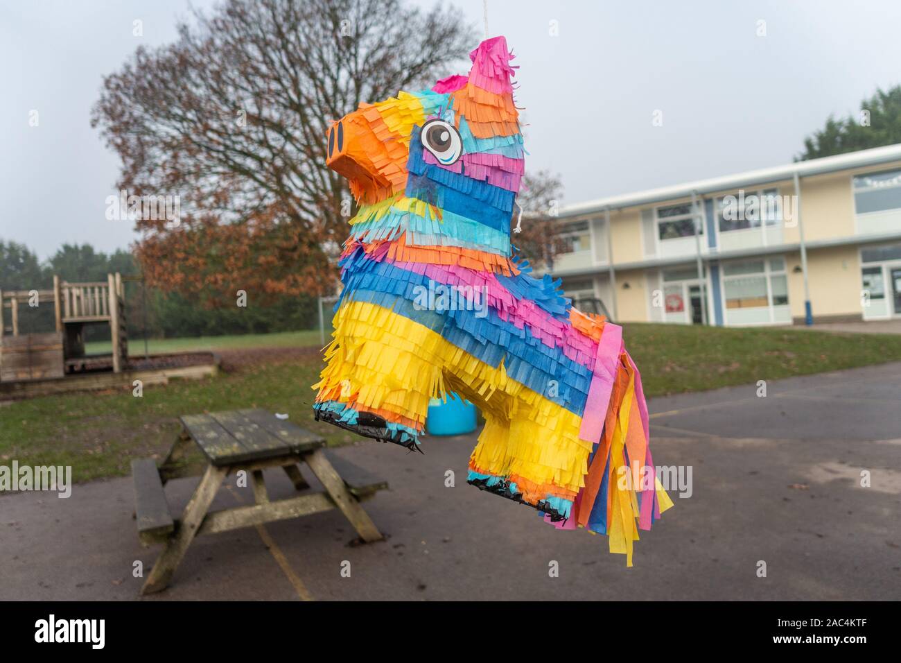 A donkey shaped pinata hangs outside in a school playground ready to be ...