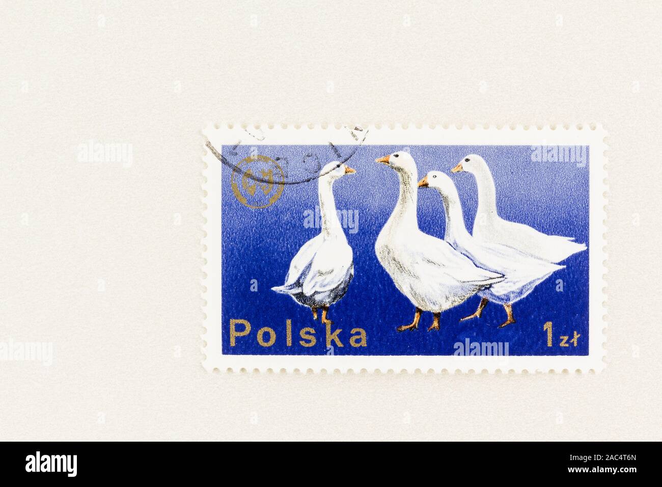 SEATTLE WASHINGTON - October 9, 2019: Polish postage stamp with white ...