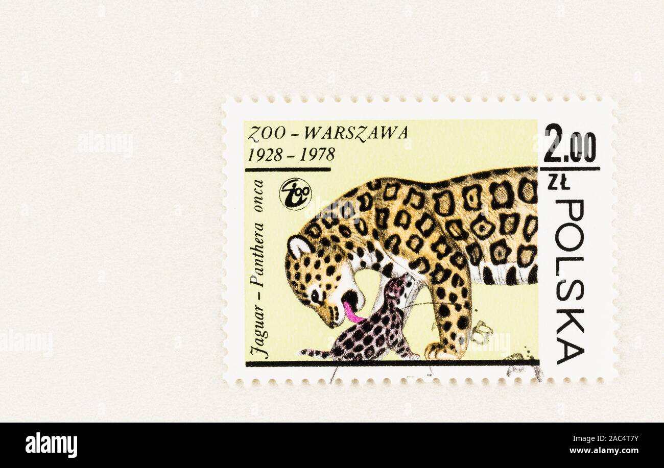 Licking stamp hi-res stock photography and images - Alamy