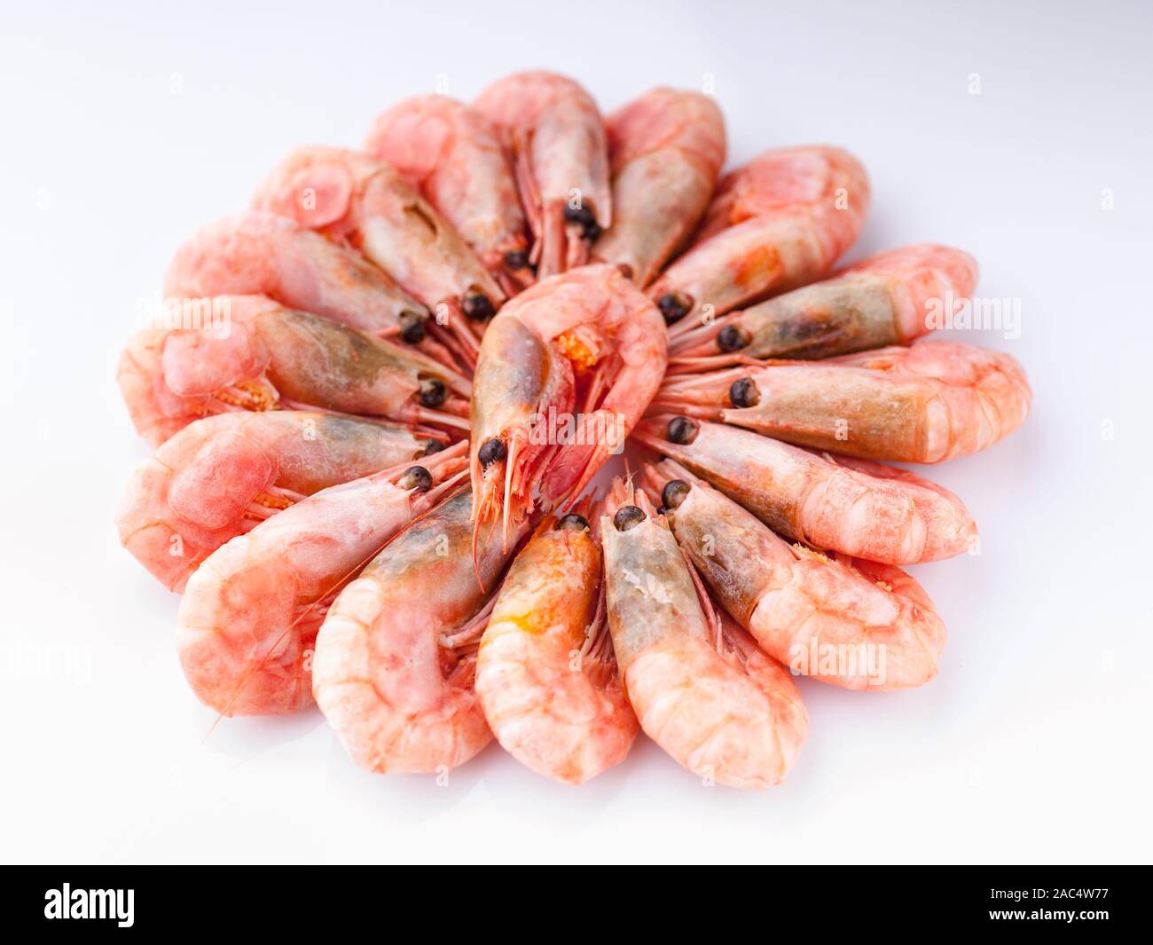 Close-up prawns on a white background. Isolated objects. Traditional ...