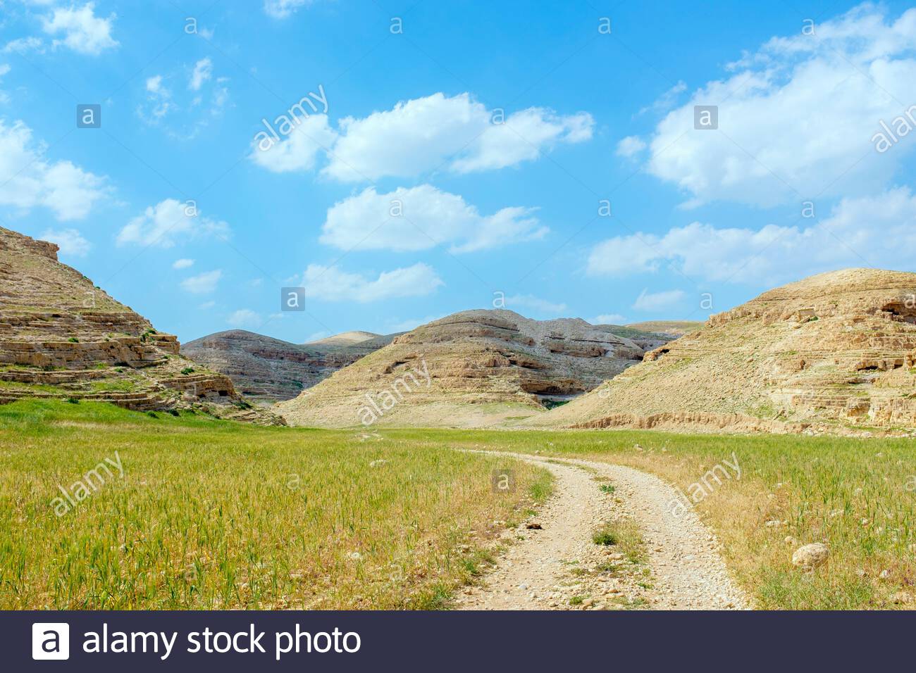 Hebron Hills High Resolution Stock Photography and Images - Alamy