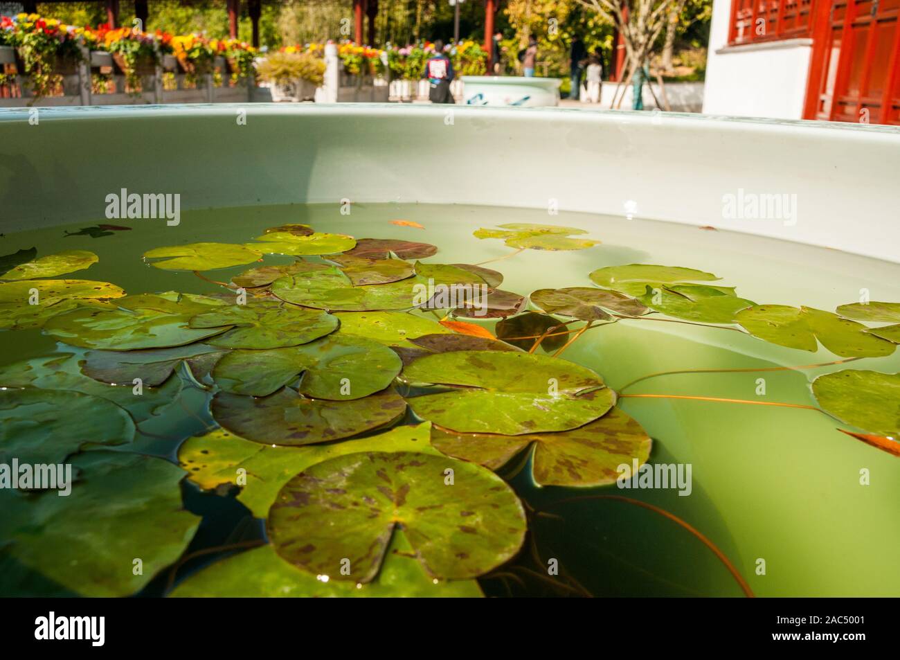 Urn water feature hi-res stock photography and images - Alamy
