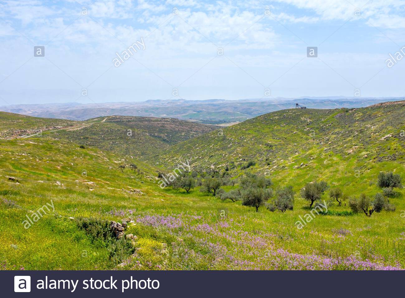 Hebron Hills High Resolution Stock Photography and Images - Alamy