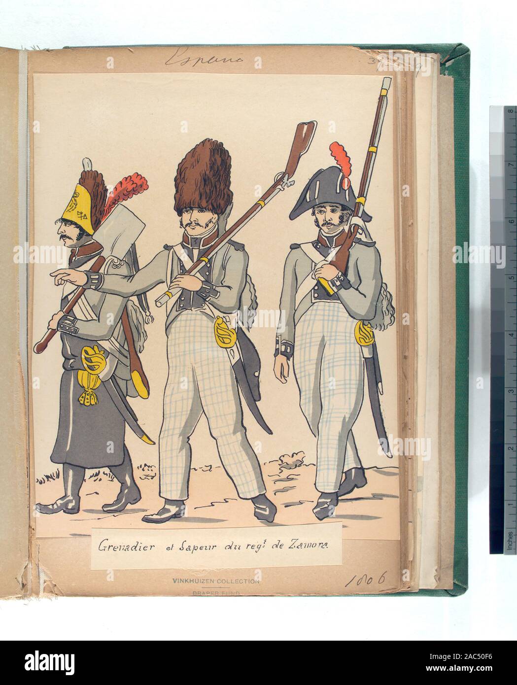 Grenadier et Sapeur du reg-t de Zamora (1806) Draper Fund; Grenadier et ...