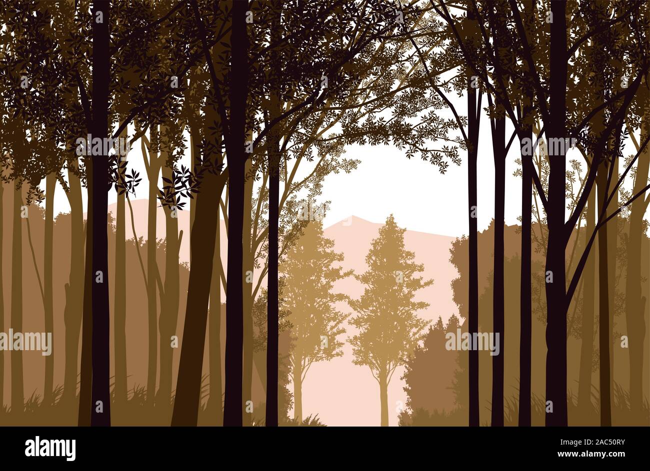 Natural forest Jungle green mountains horizon trees Landscape wallpaper ...