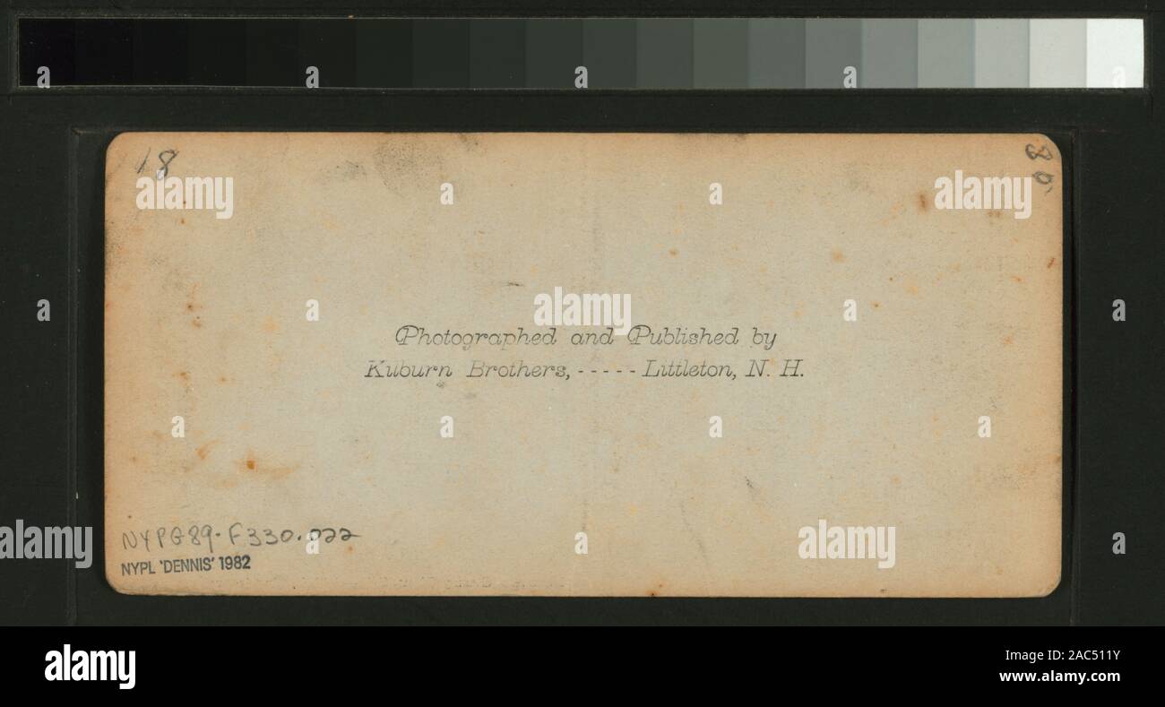 Grizzly Giant, Cal, 101 feet in circumference Grizzly Giant, Cal., 101 ...