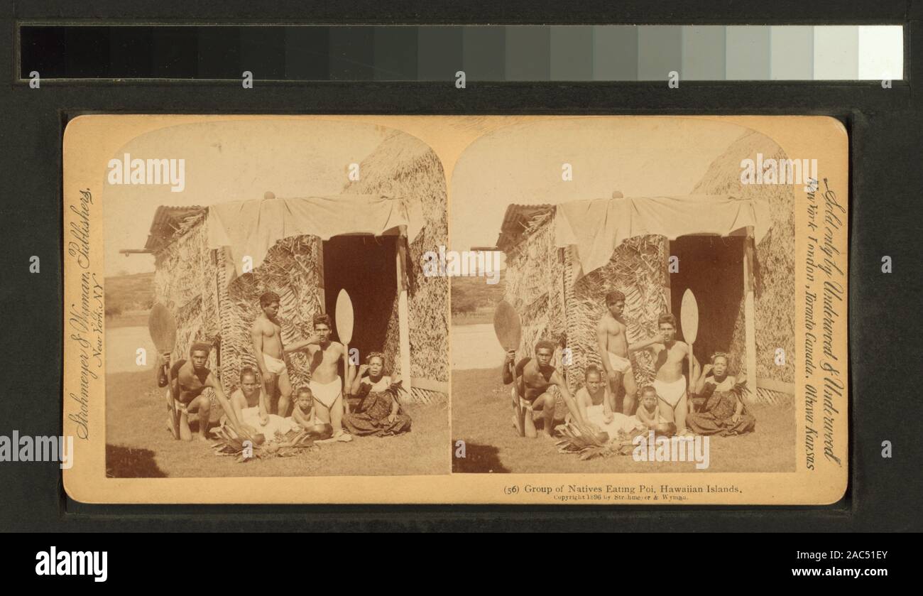 Group of natives eating poi (in front of thatched hut), Hawaiian ...