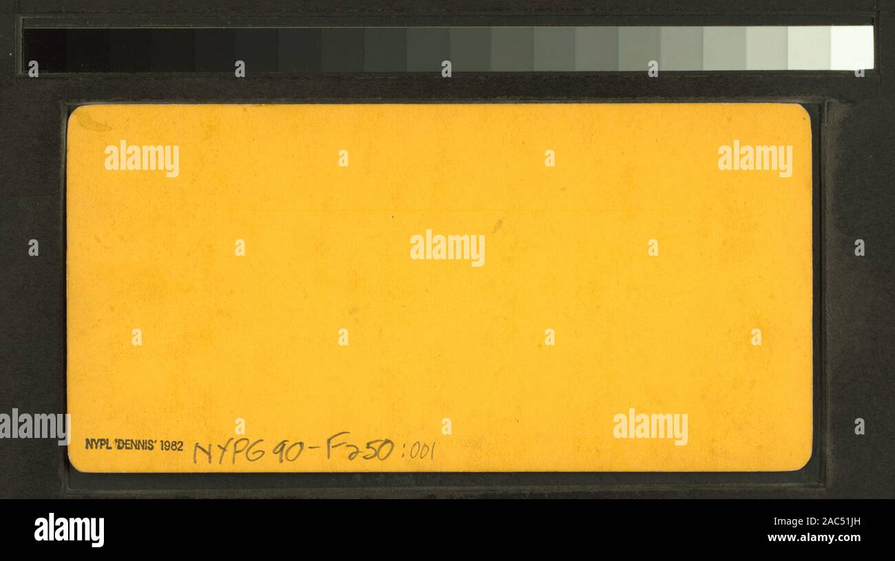 Group of people under a larger tree Group of people under a larger ...