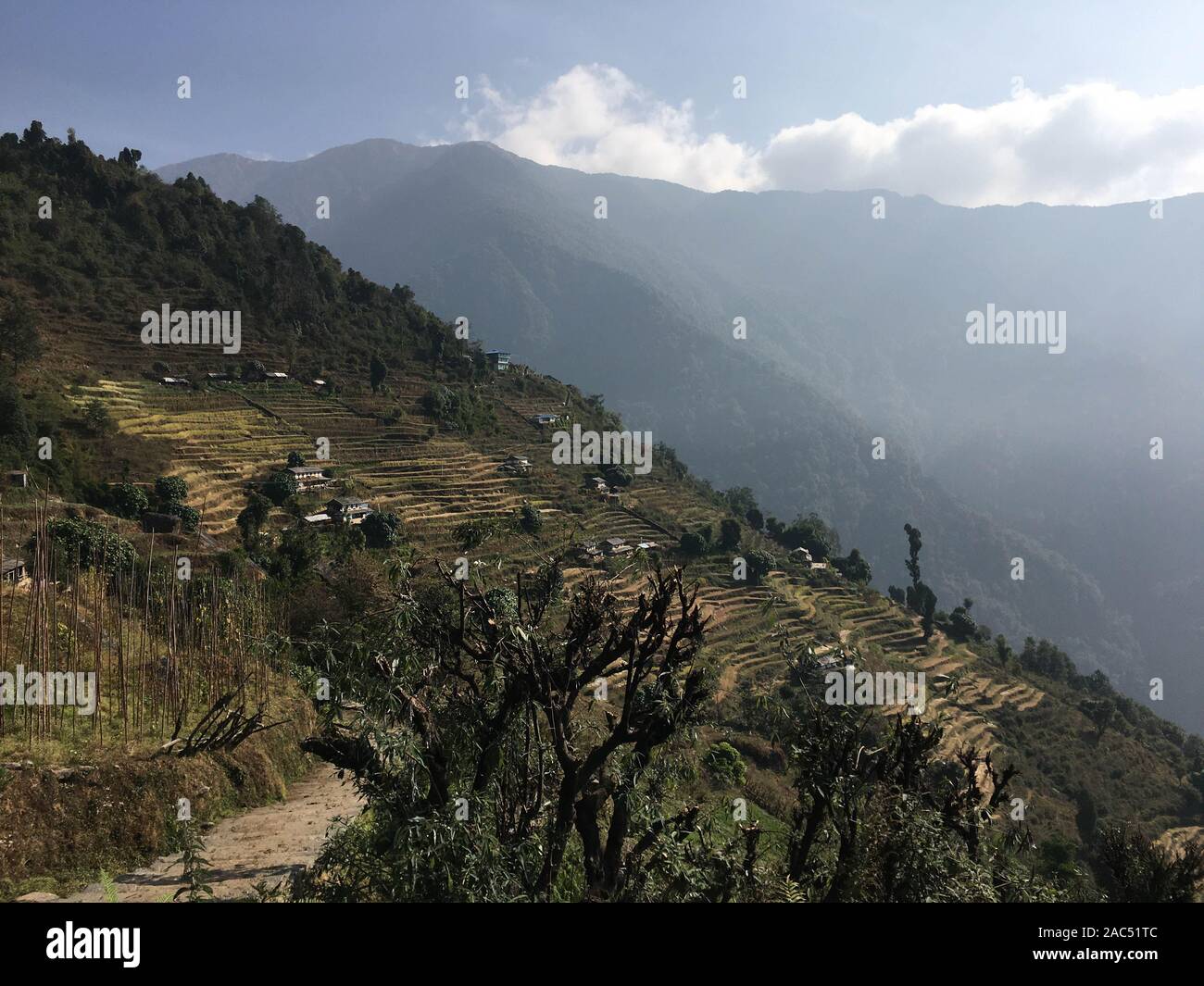 A mountainside scene of agricultural terraces. Nepal Stock Photo - Alamy