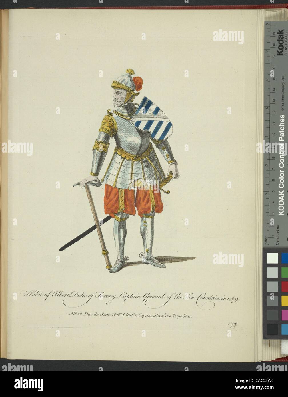 Duc de saxe hi-res stock photography and images - Alamy