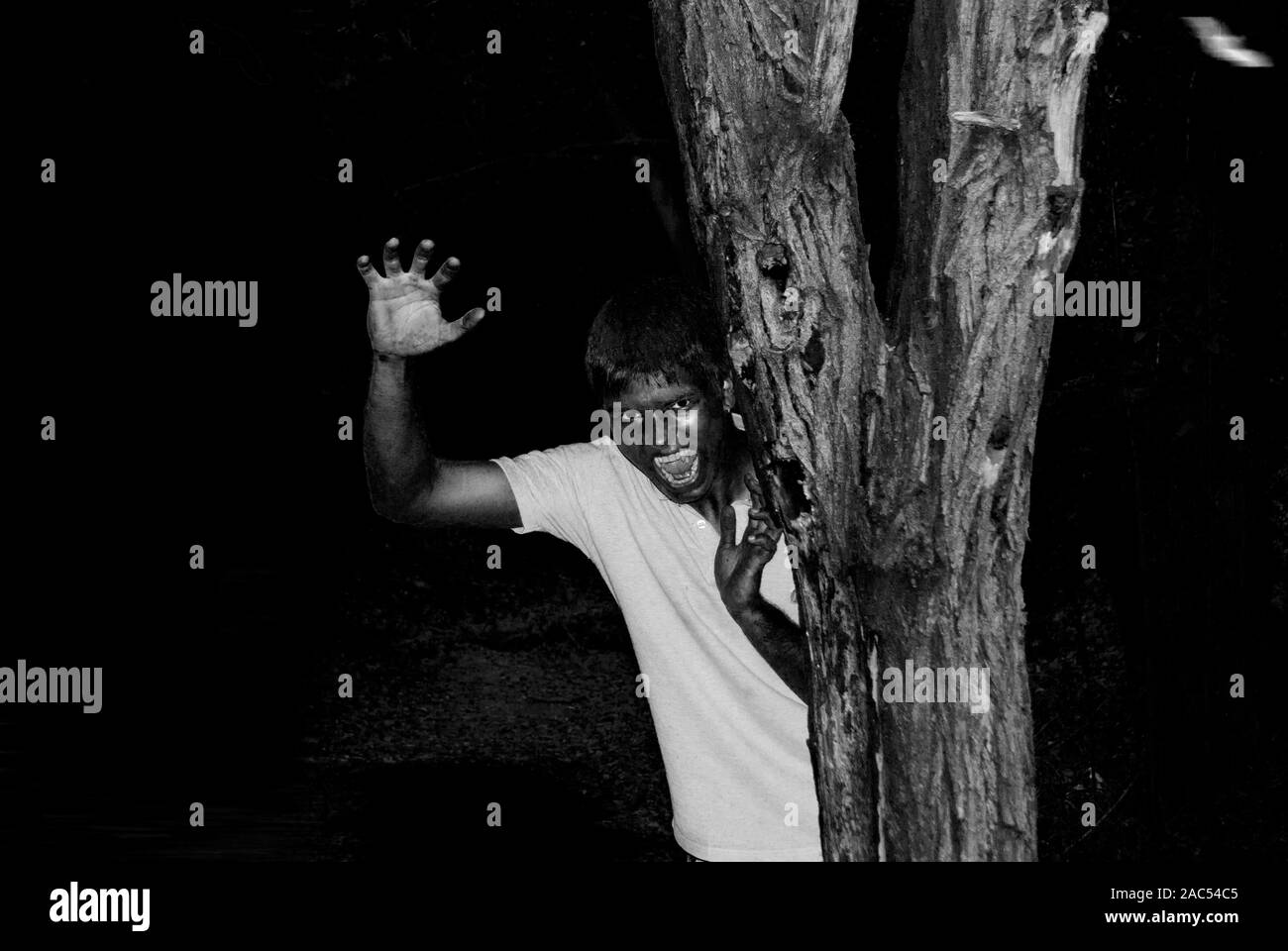 Fellow vampire looks from the tree night Stock Photo - Alamy