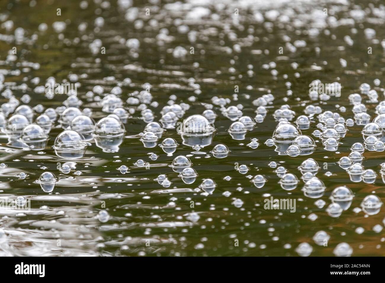 Ornamental bubble pool in the gardens at Chester Zoo, Chester UK Stock ...