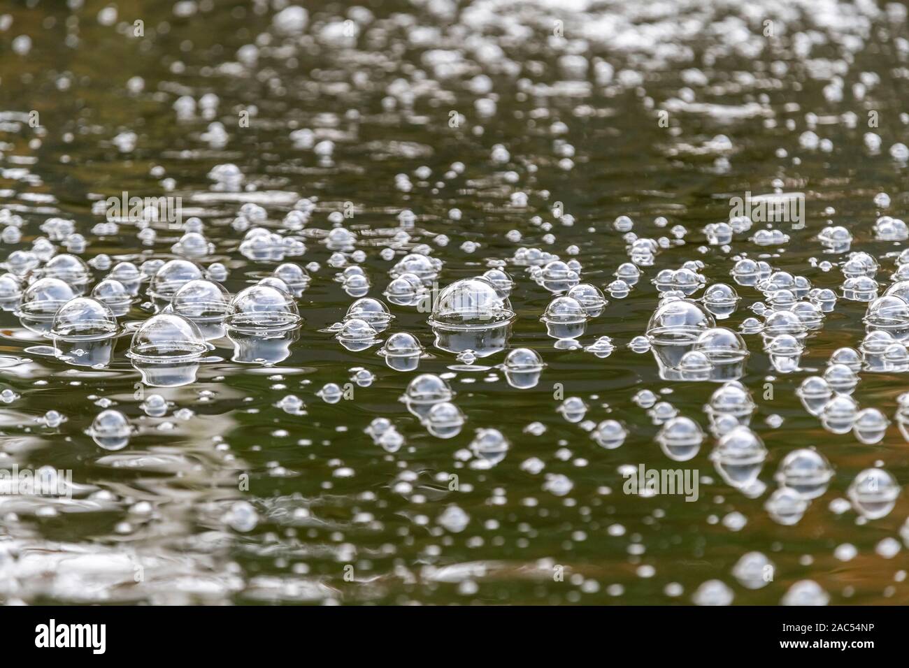 Ornamental bubble pool in the gardens at Chester Zoo, Chester UK Stock ...