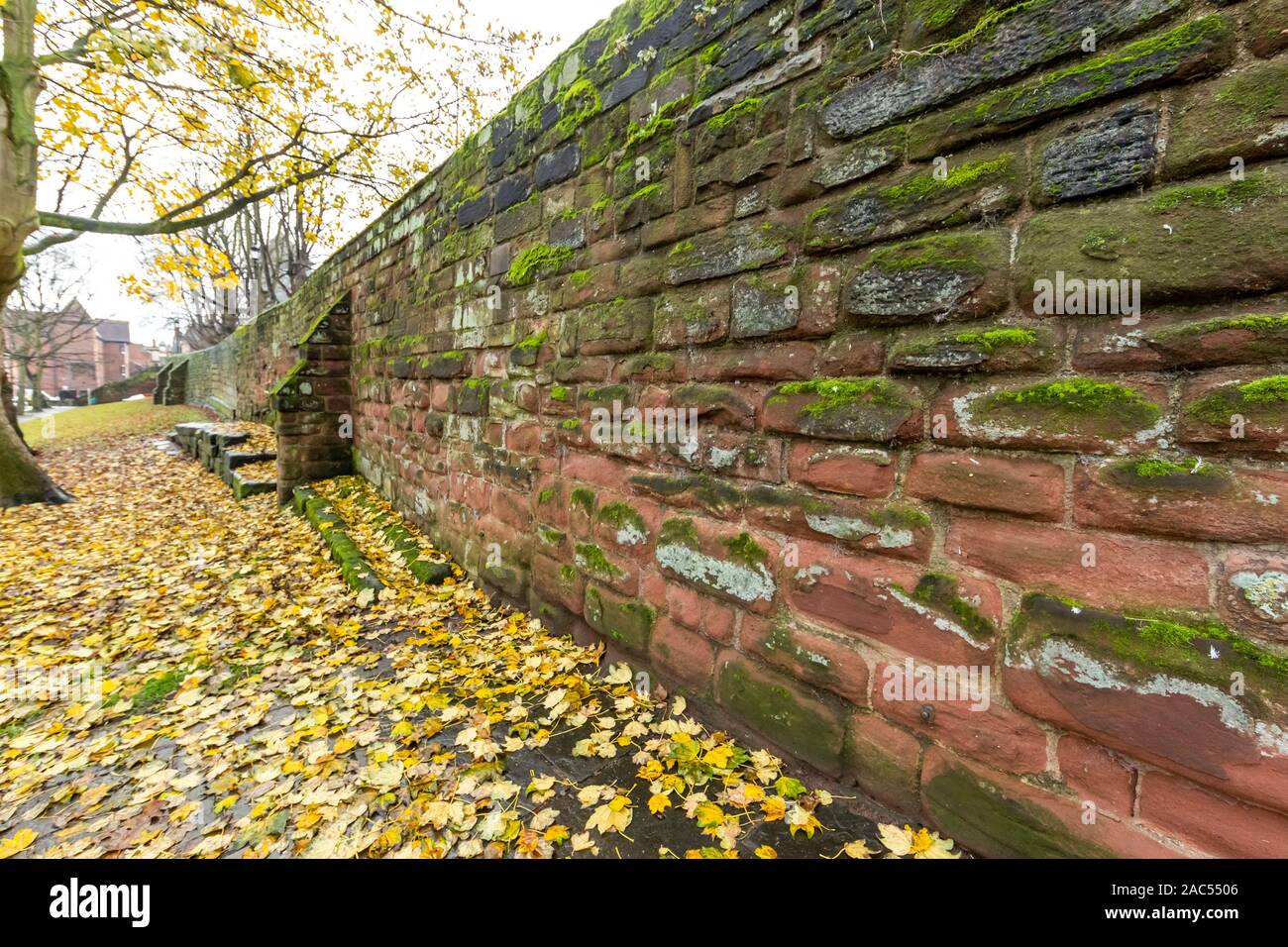Walls of Chester. Chester has had a city wall since Roman times. Today ...