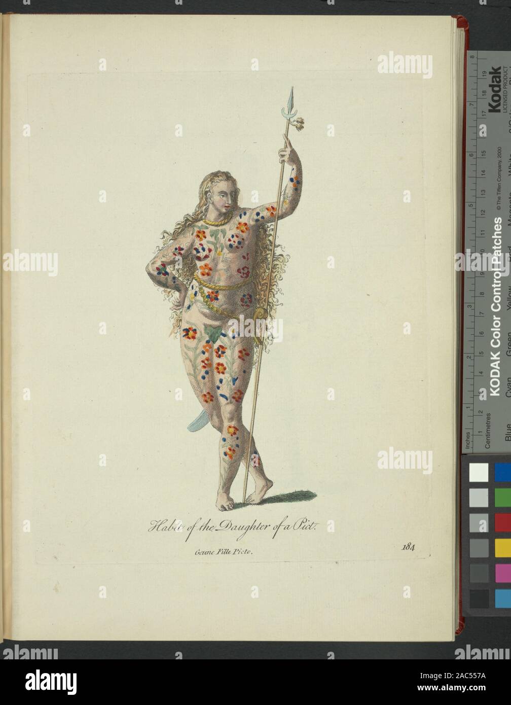 Pictes hi-res stock photography and images - Alamy