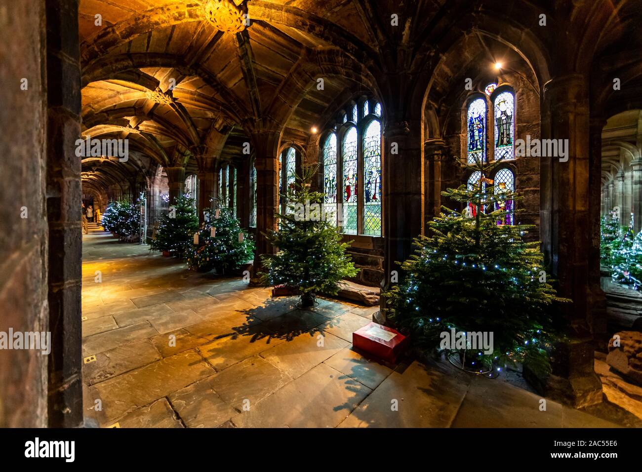 Cloisters and Christmas trees. Chester Cathedral at Christmas, Chester ...