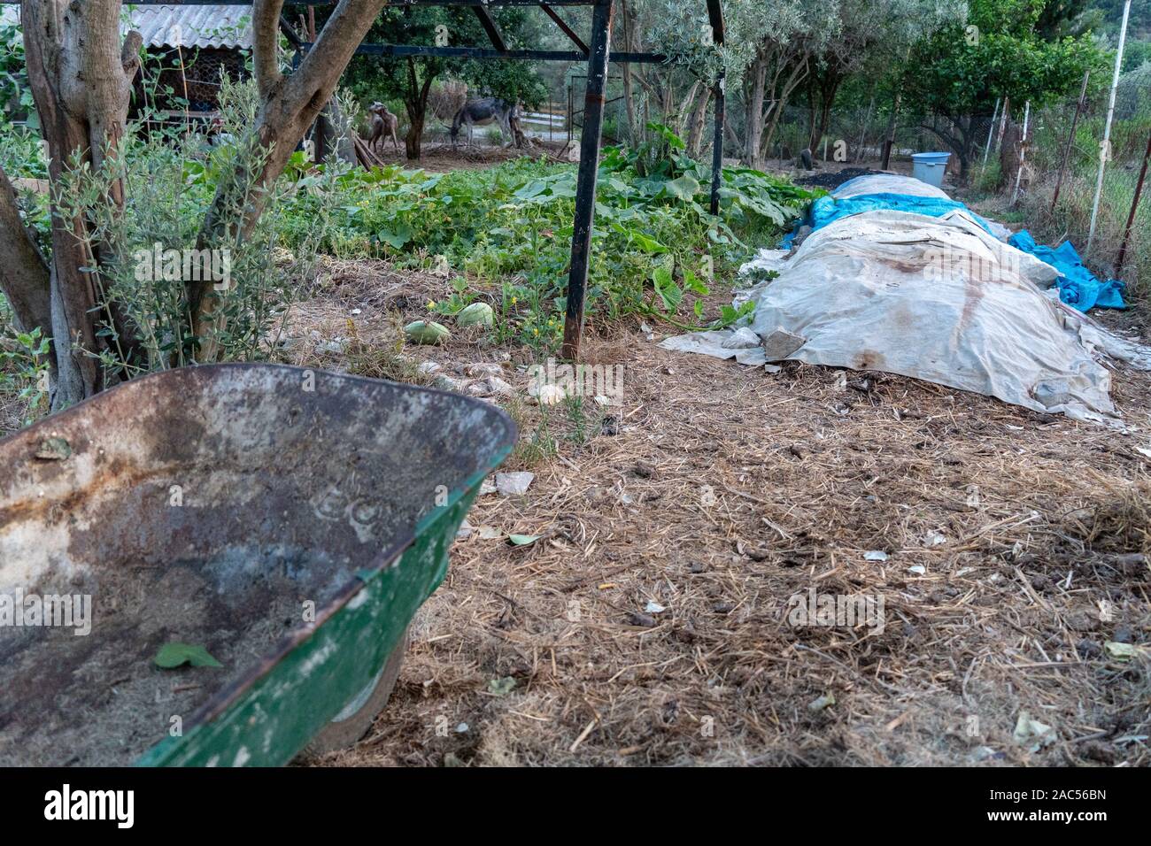 Working on zero waste sustainable farm in Dalyan, Turkey Stock Photo ...
