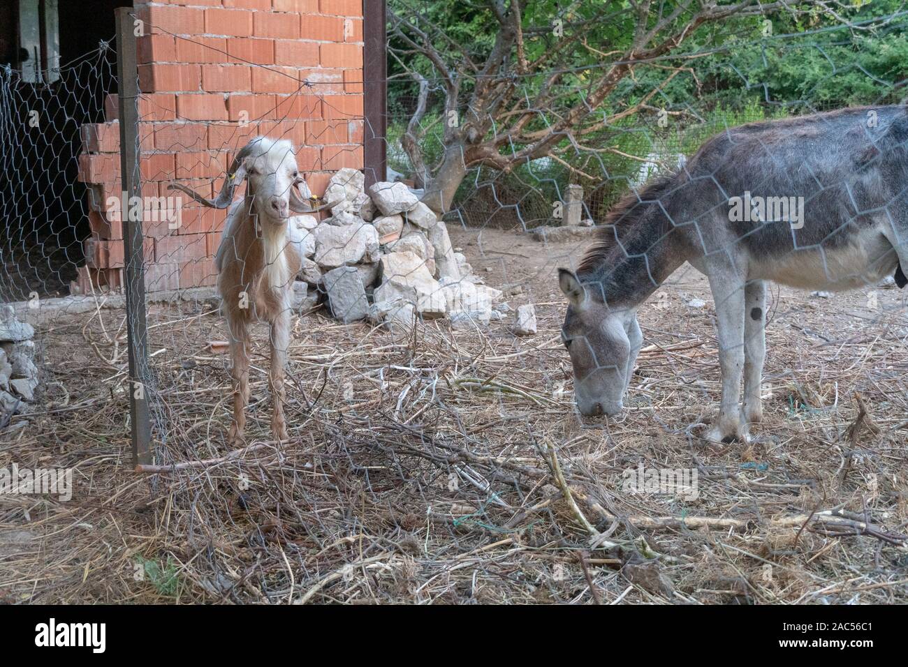 Working on zero waste sustainable farm in Dalyan, Turkey Stock Photo ...