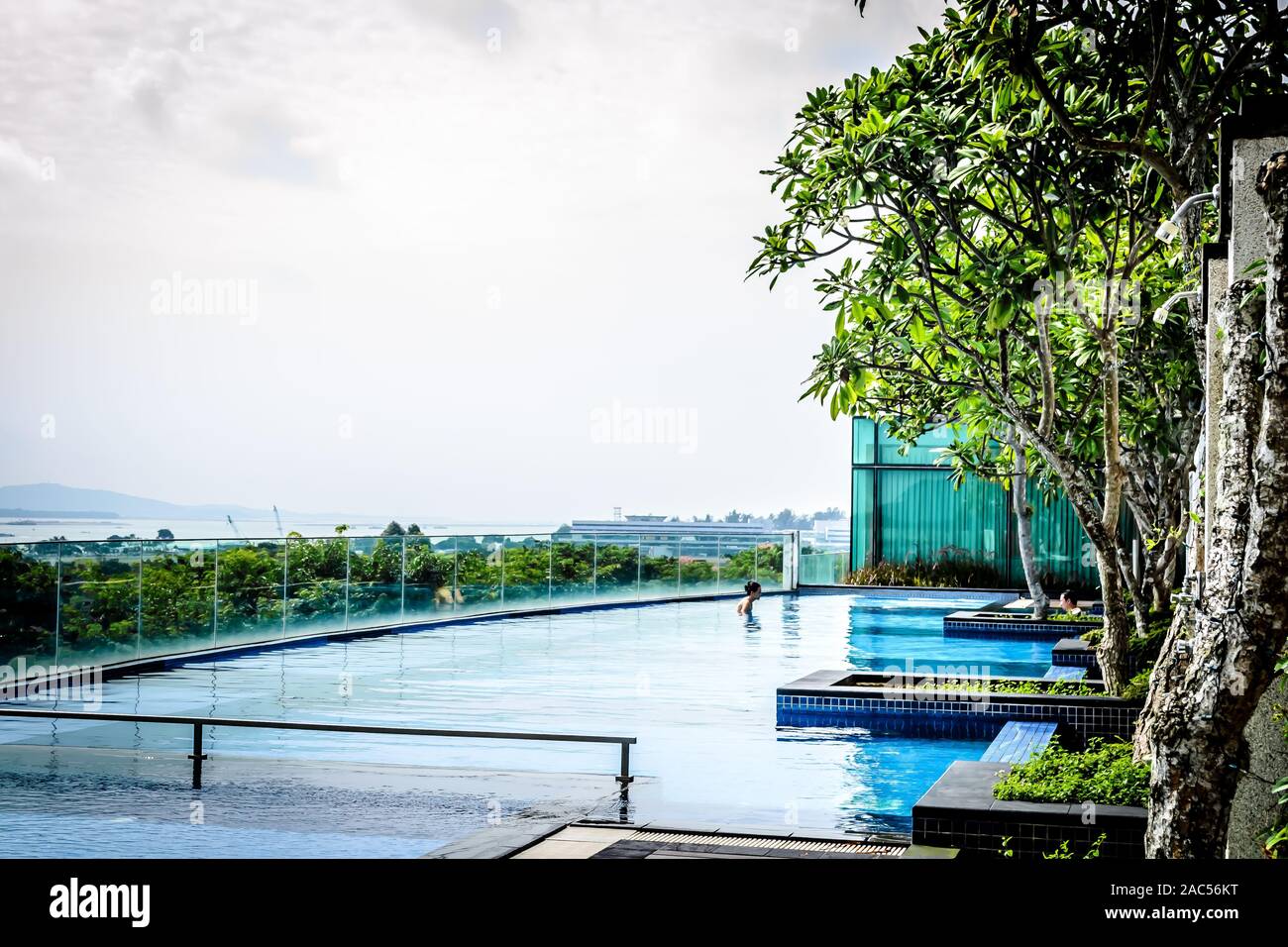 rooftop infinity swimming pool with sunbathing lounge chairs and trees ...