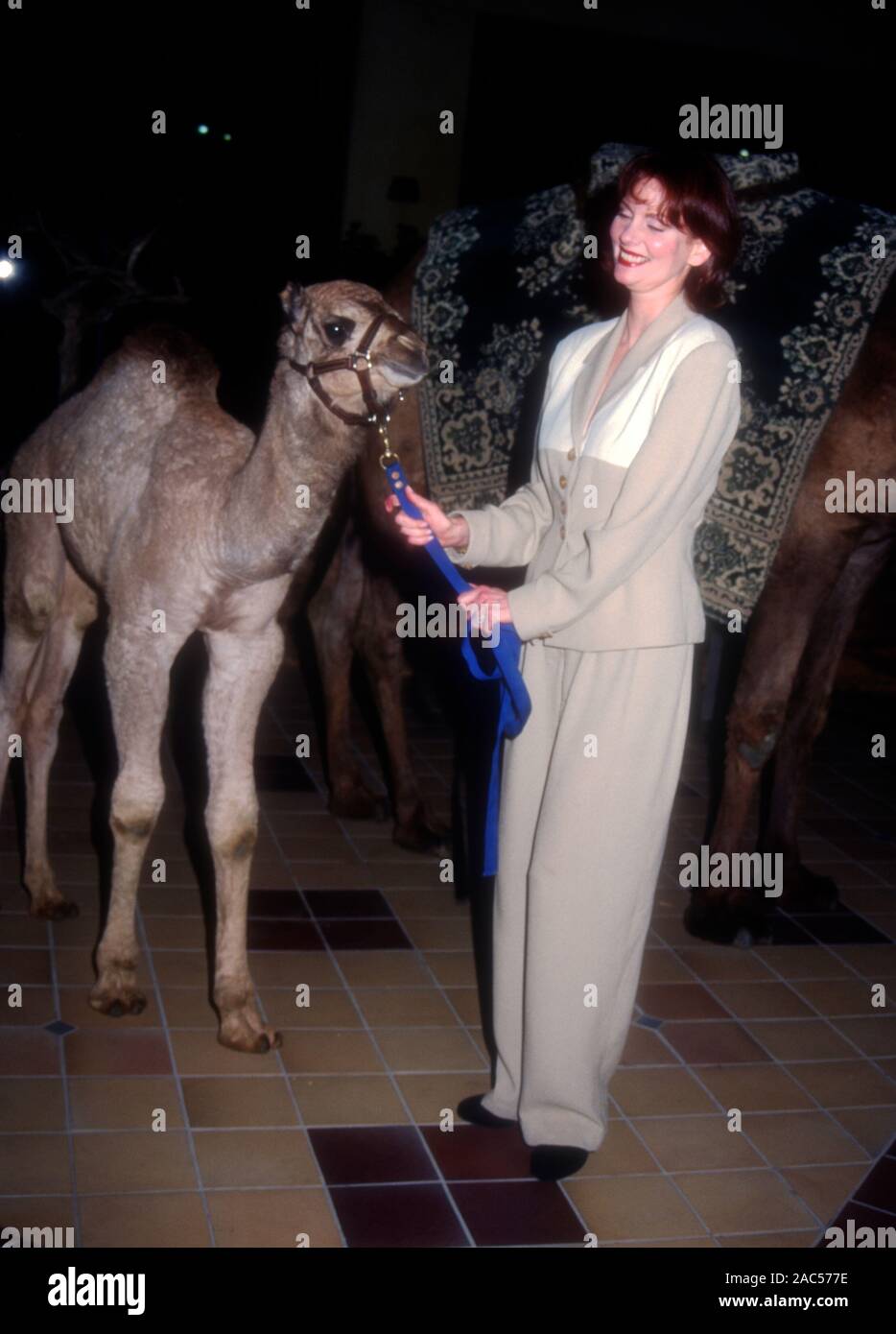 Los Angeles, California, USA 20th March 1995 Actress Leslie Ann Warren ...